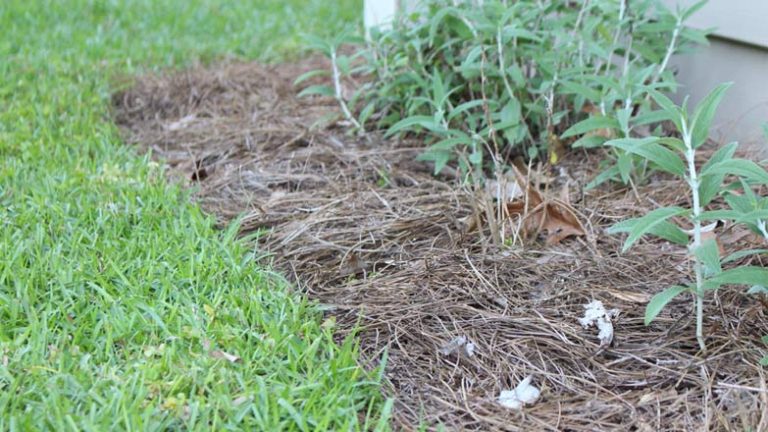 Checking In With Chelsea - DIY ideas, crafts, and tips for your home