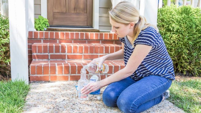 Checking In With Chelsea - DIY ideas, crafts, and tips for your home